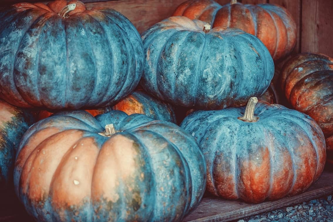 September Activities For Seniors Colorist Cafe september-activities-for-seniors-colorist-cafe